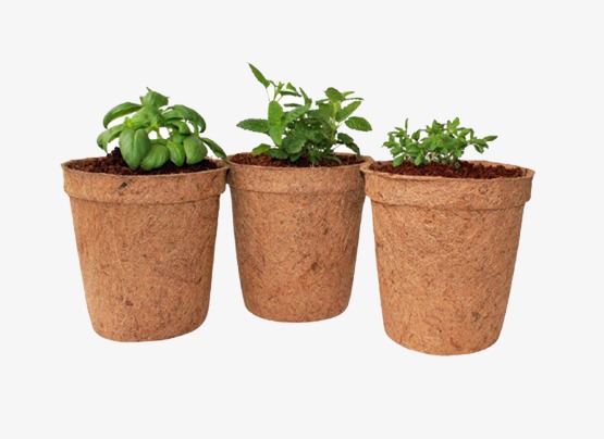 Coco Coir Pots |Coconut Coir Pots | Coco Pot