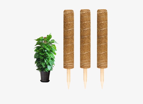 Coco Coir Pole | Moss Pole | Coir Pole