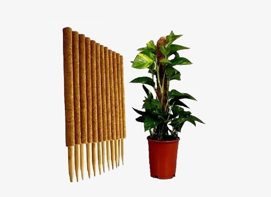 Coco Coir Pole | Moss Pole | Coir Pole