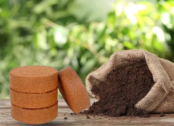 Coco Coir Discs | Coco Peat Pellets | Coir Disc