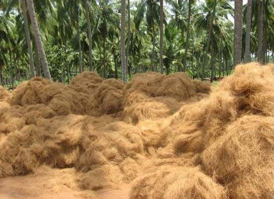 Coconut Coir Fiber | Coconut Fiber | Coco Fiber