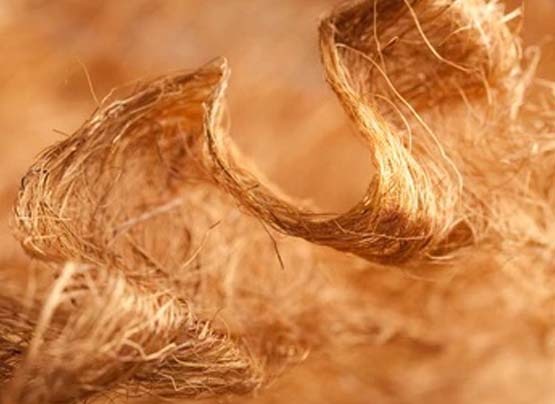 Coconut Coir Fiber | Coconut Fiber | Coco Fiber