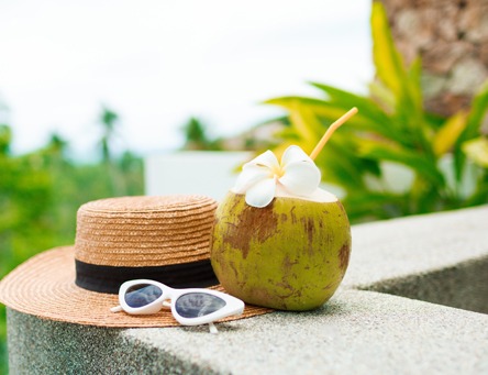 About Us | Coconut Coir Manufacturer & Wholesale Supplier